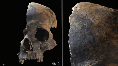 Experts uncover evidence of ancient cannibalism in UK