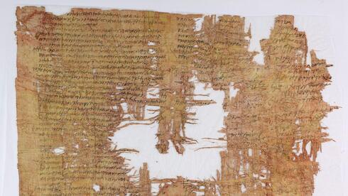 Lost Judean Desert papyrus unveils tax fraud drama in Roman court