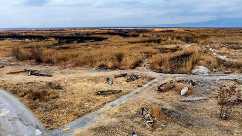 Global January heat wave breaks records, raising climate alarm