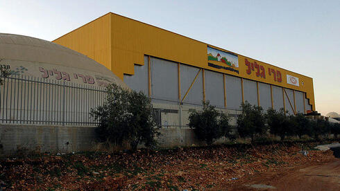 Jewish family from New York seeks to acquire one of Israel’s oldest ...