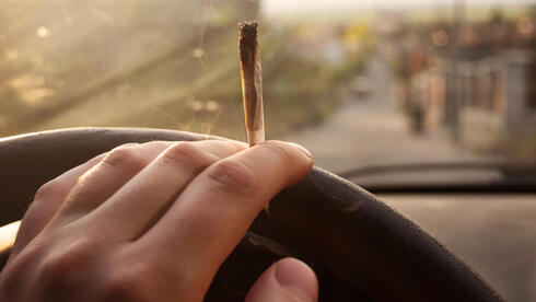 רוב צרכני הקנאביס נוהגים תחת השפעה: נתונים חדשים