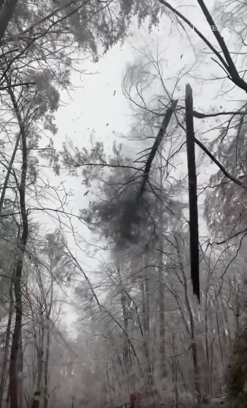 Trees ‘exploding’ across US as Arctic blast freezes nation